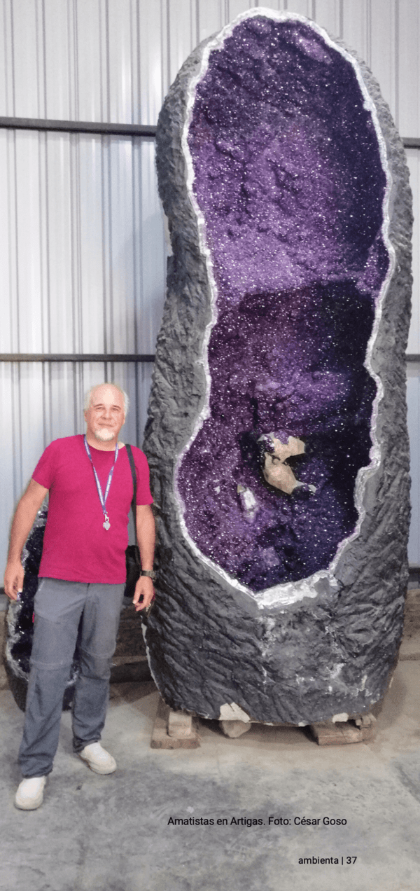 Entrevista a César Goso - SUG